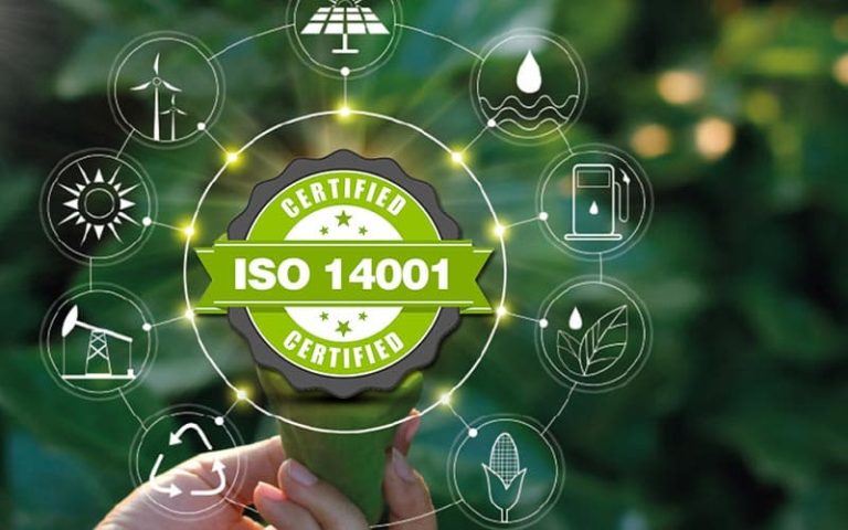 ISO 14001: Tiêu chuẩn quản lý môi trường giúp doanh nghiệp Việt “xanh ...